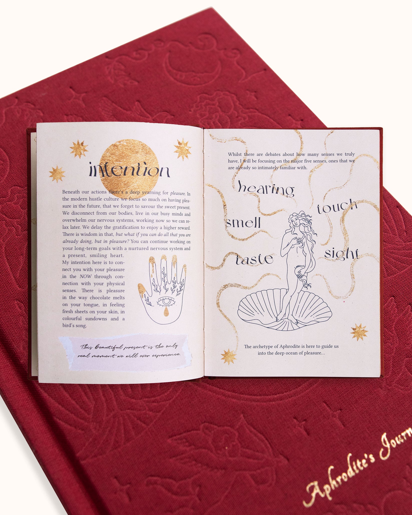 Aphrodite's Journal – DreamyMoons